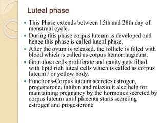 Physiology of menstrual cycle.pptx