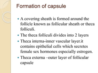 Physiology of menstrual cycle.pptx