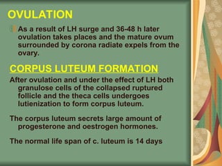 PHYSIOLOGY OF MENSTRUAL CYCLE FOR NURSING STUDENT | PPT