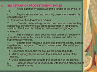 PHYSIOLOGY OF MENSTRUAL CYCLE FOR NURSING STUDENT | PPT