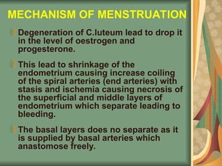 PHYSIOLOGY OF MENSTRUAL CYCLE FOR NURSING STUDENT | PPT
