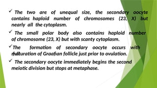 physiology of menstrua cycle post postgradiates.pptx