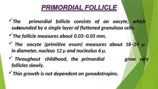 physiology of menstrua cycle post postgradiates.pptx