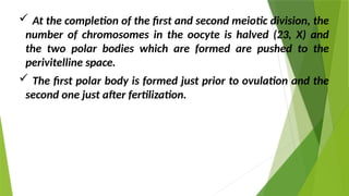 physiology of menstrua cycle post postgradiates.pptx