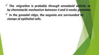 physiology of menstrua cycle post postgradiates.pptx
