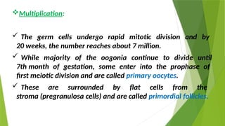 physiology of menstrua cycle post postgradiates.pptx
