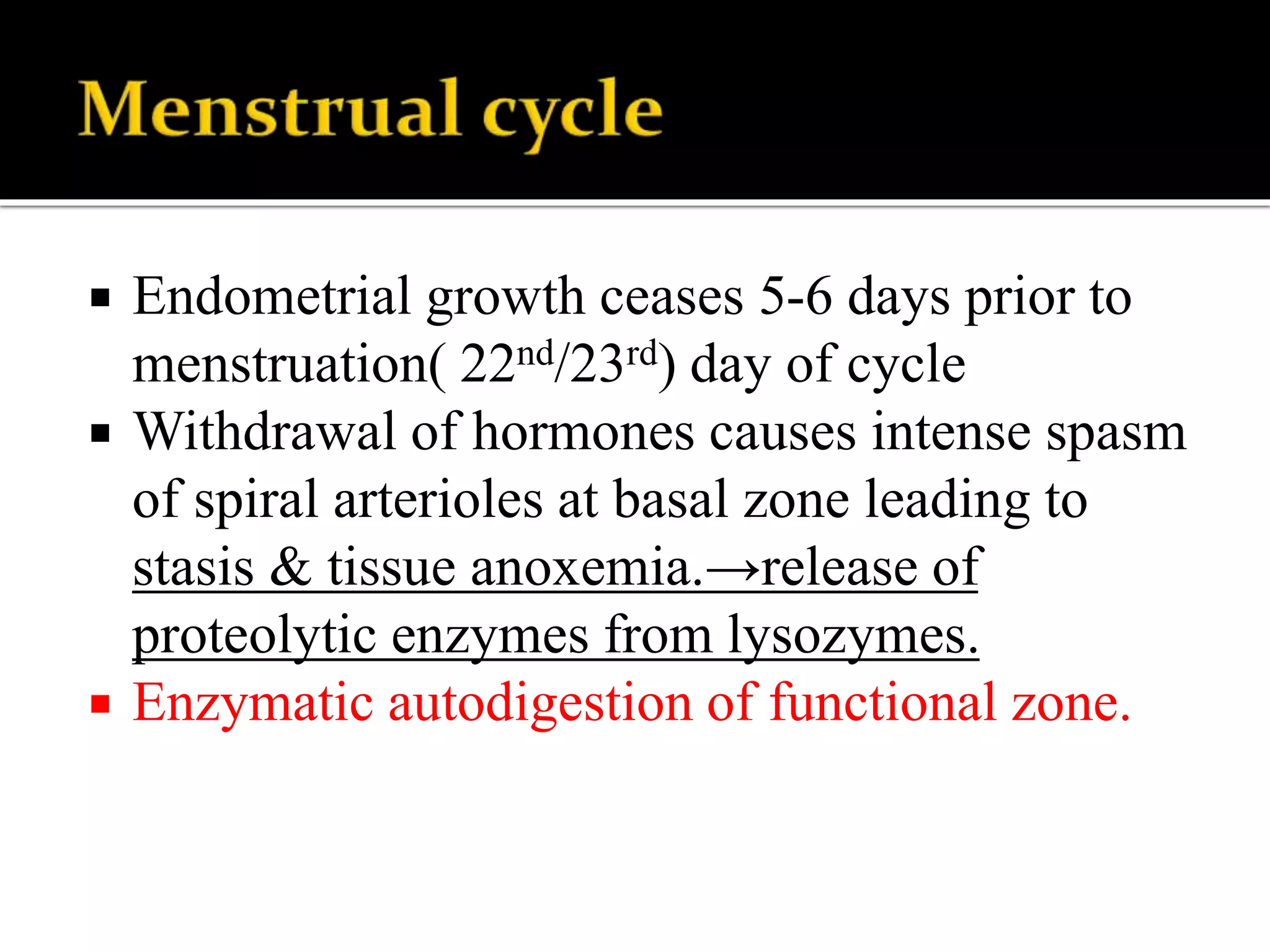 physiology of menstruation litty ppt.pptx