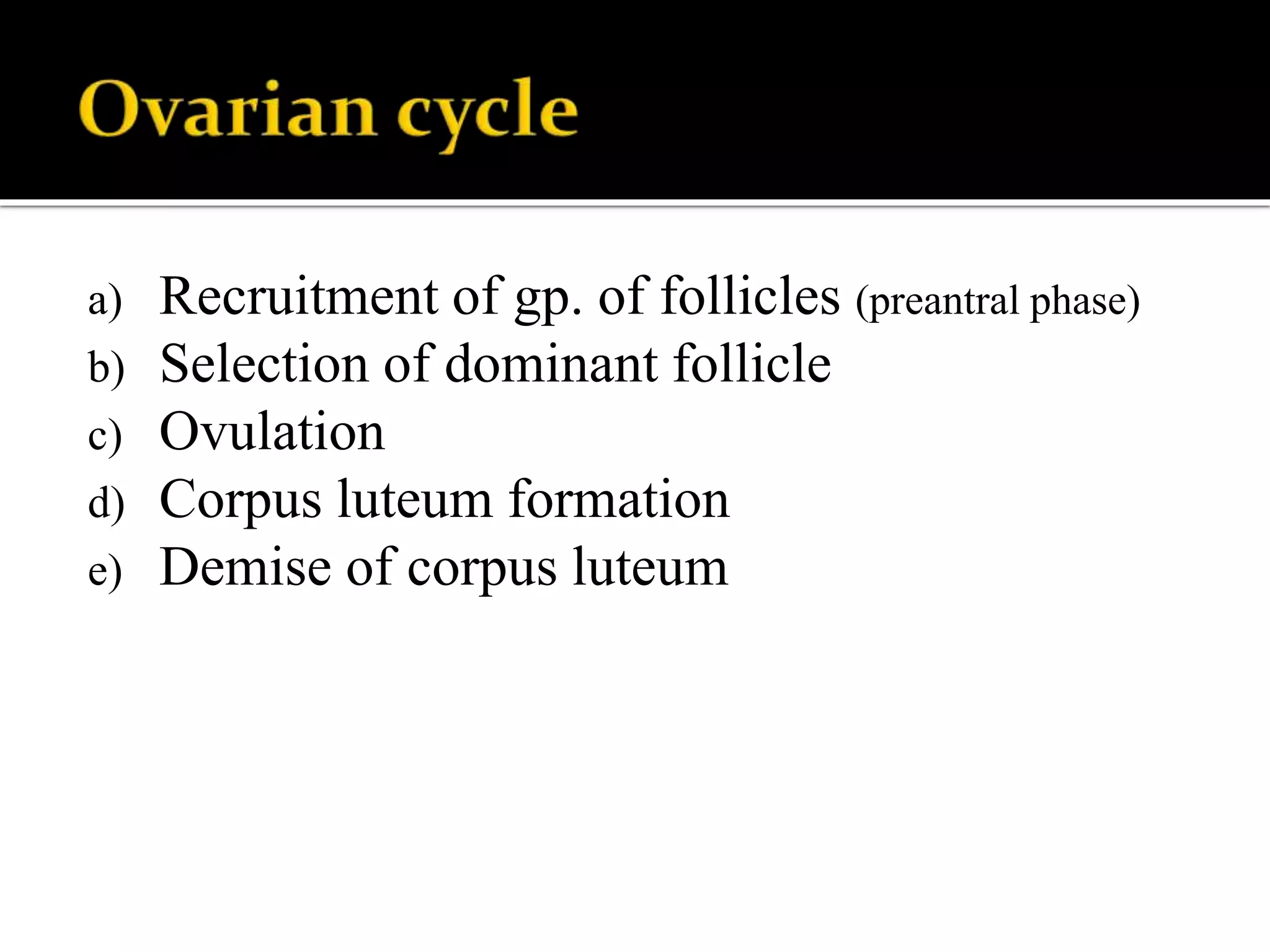 physiology of menstruation litty ppt.pptx