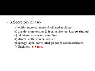 physiology of menstruation litty ppt.pptx