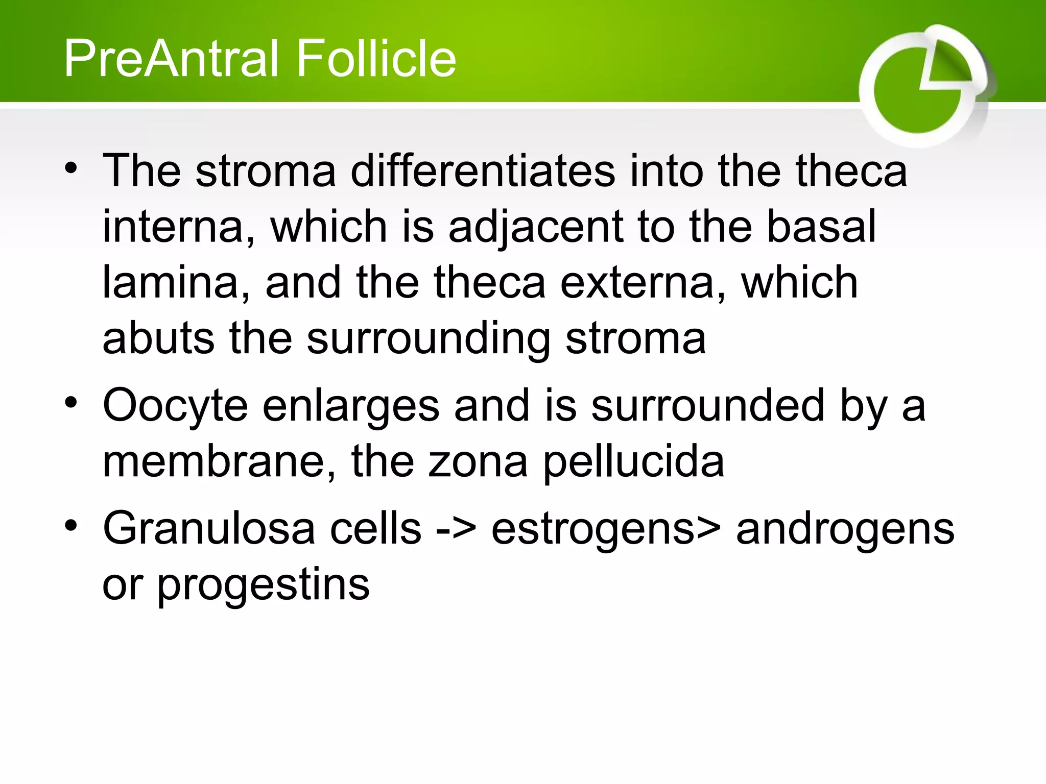 Physiology of Menstruation | PPT