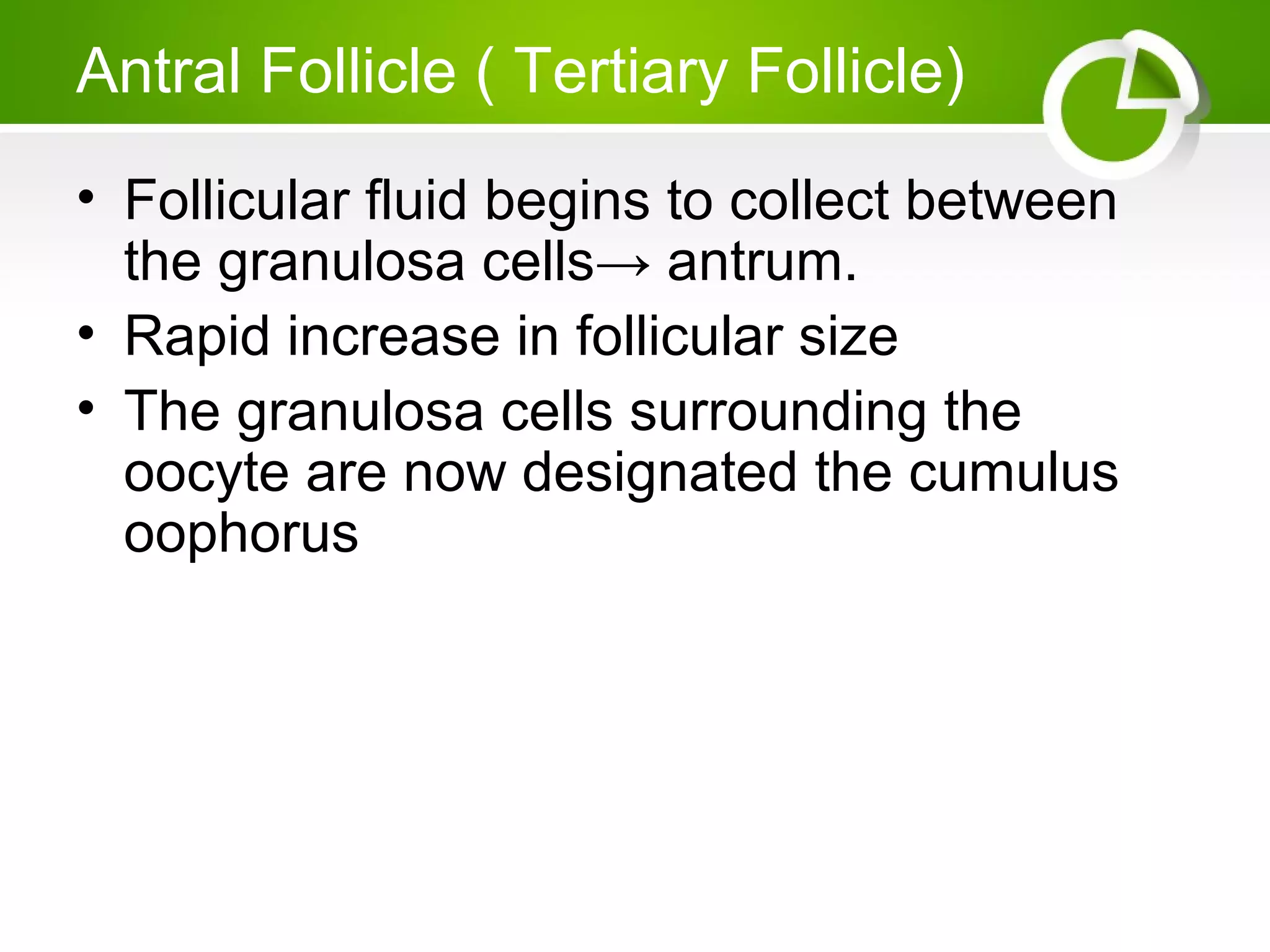 Physiology of Menstruation | PPT