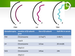 Physiology of Menstruation | PPT