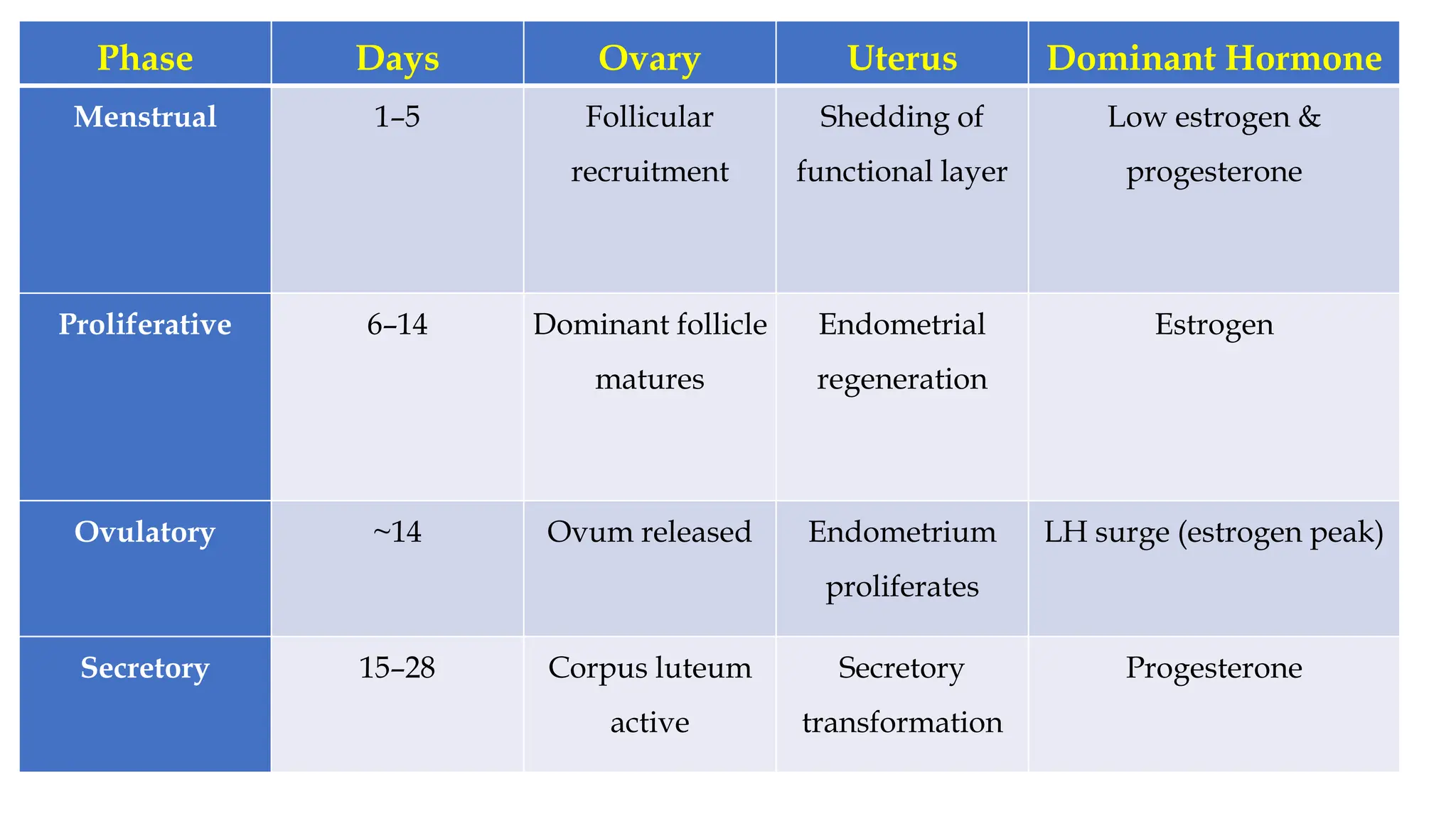 Physiology of Menstration and Ovarian Cycle | PDF