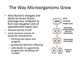Physiology of microorganism 1 | PPTX