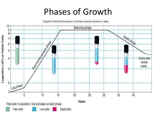 Physiology of microorganism 1