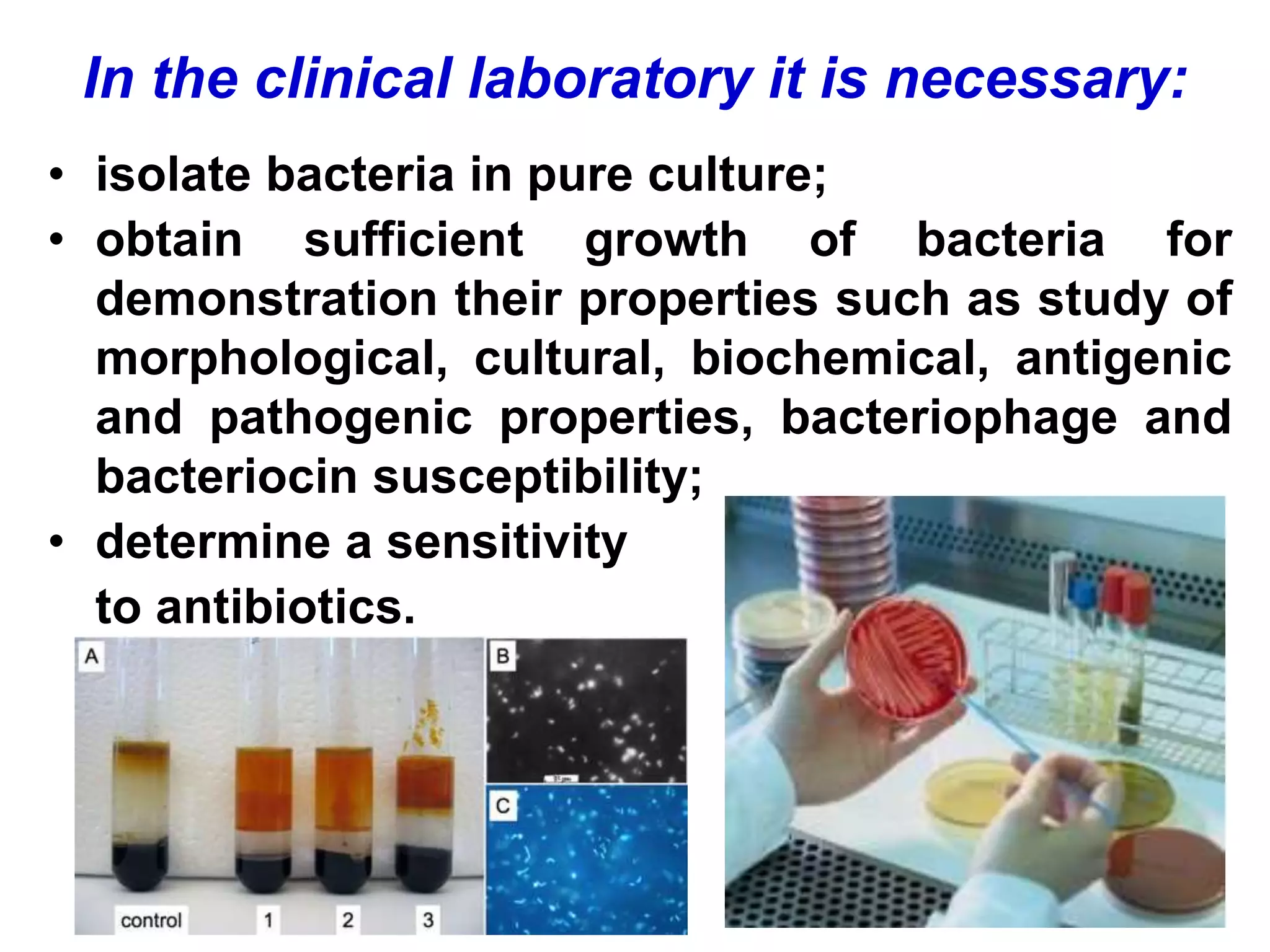 PHYSIOLOGY OF MICROORGANISMS-2012.ppt