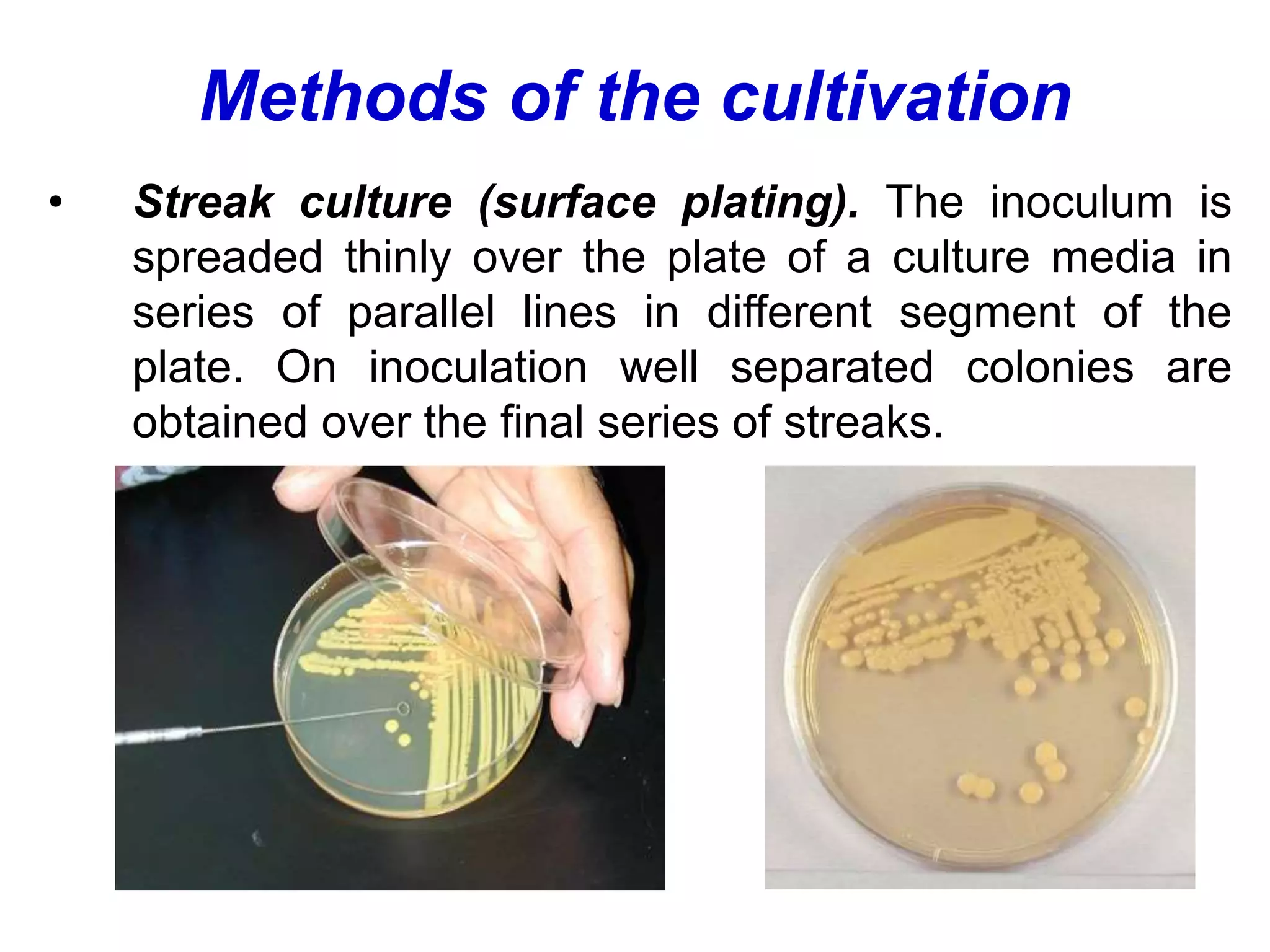 PHYSIOLOGY OF MICROORGANISMS-2012.ppt