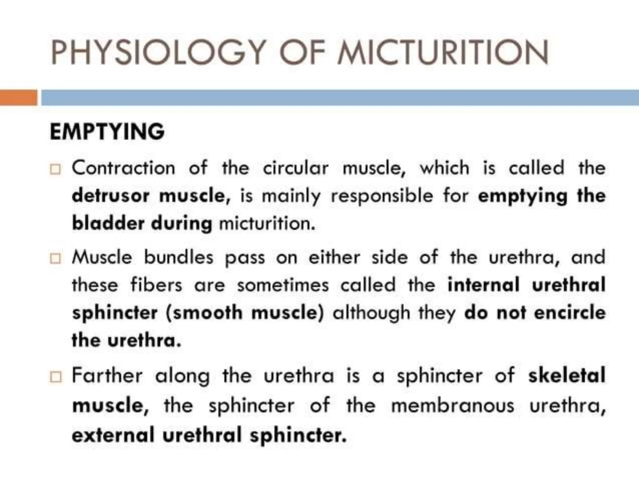 Physiology of Micturation , bladder sensation | PPT