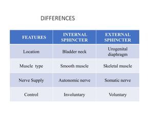 Physiology of micturition | PPTX