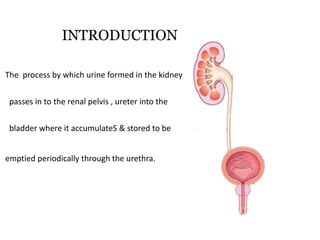 Physiology of micturition | PPTX