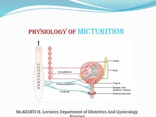 Physiology of Micturition, Unit 9 Renal System | PPTX