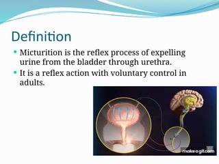Physiology of Micturition, Unit 9 Renal System | PPTX