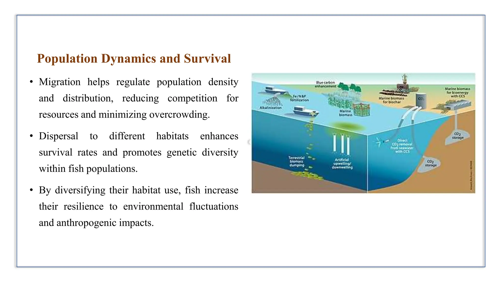 Physiology of Migration and Behaviour in Fish.pptx
