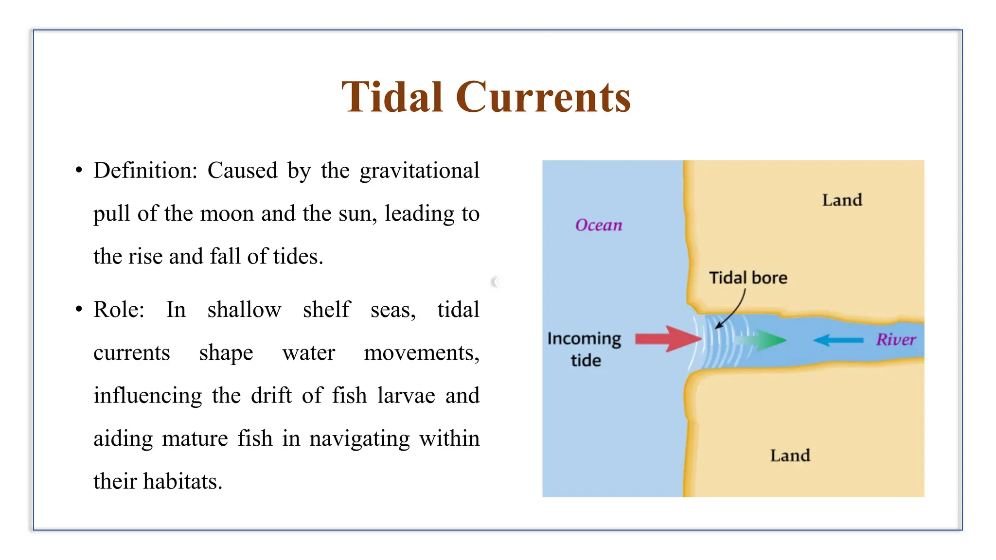 Physiology of Migration and Behaviour in Fish.pptx