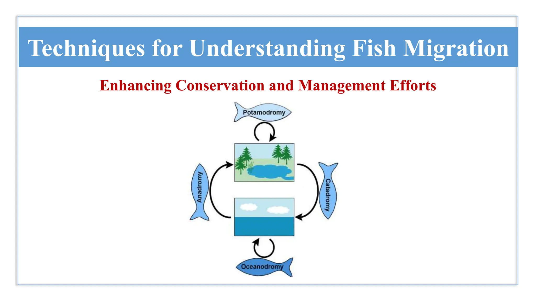 Physiology of Migration and Behaviour in Fish.pptx