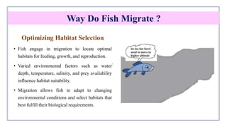 Physiology of Migration and Behaviour in Fish.pptx