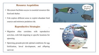 Physiology of Migration and Behaviour in Fish.pptx