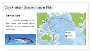 Physiology of Migration and Behaviour in Fish.pptx