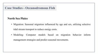 Physiology of Migration and Behaviour in Fish.pptx