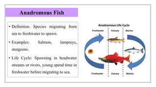 Physiology of Migration and Behaviour in Fish.pptx