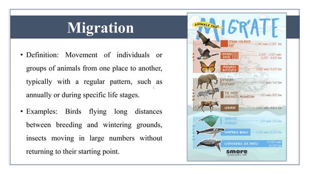Physiology of Migration and Behaviour in Fish.pptx