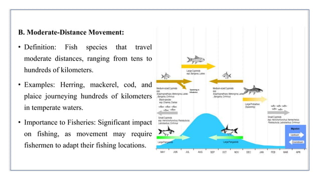 Physiology of Migration and Behaviour in Fish.pptx