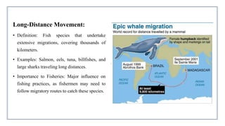 Physiology of Migration and Behaviour in Fish.pptx