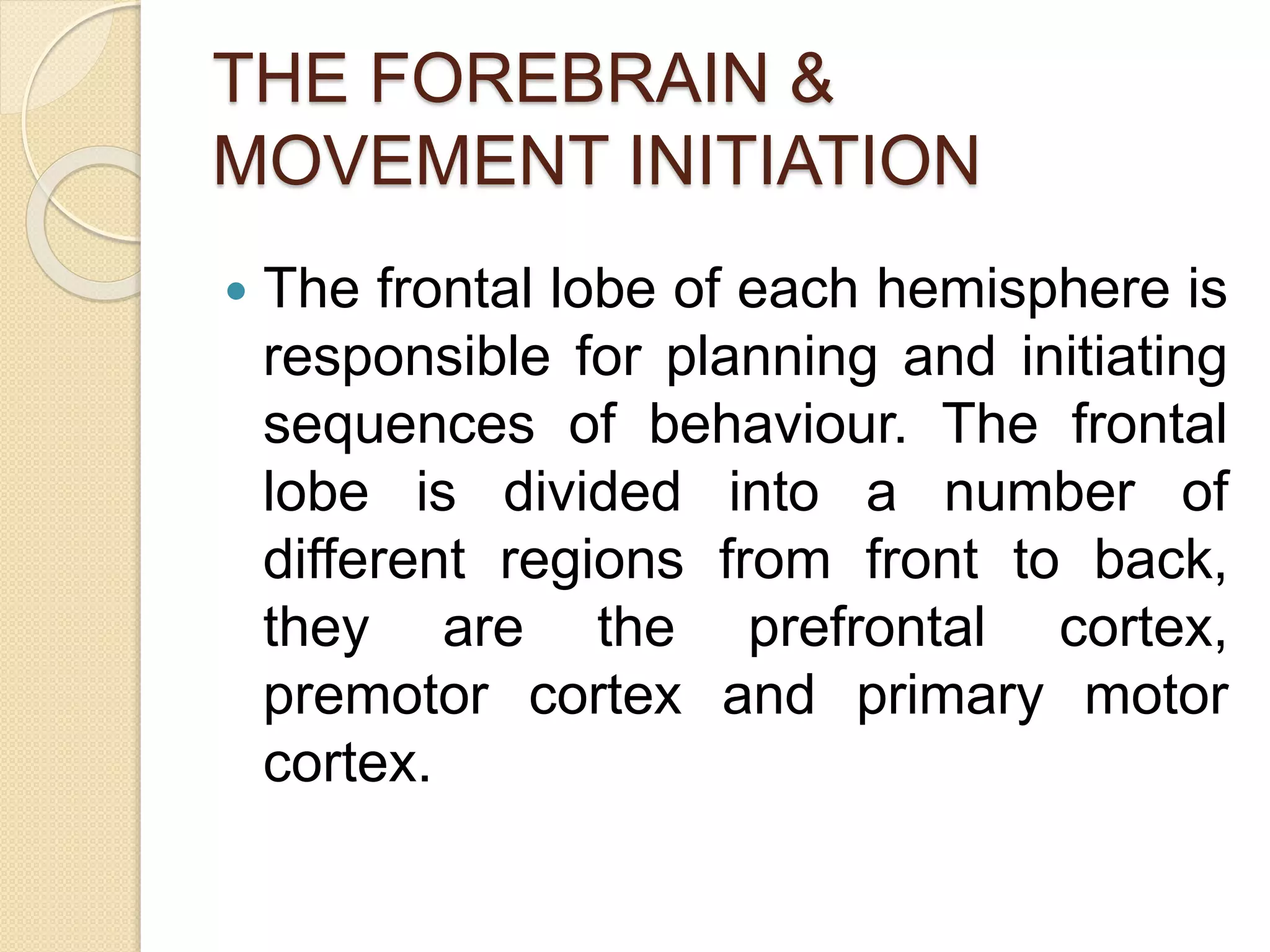 Physiology of movement | PPTX