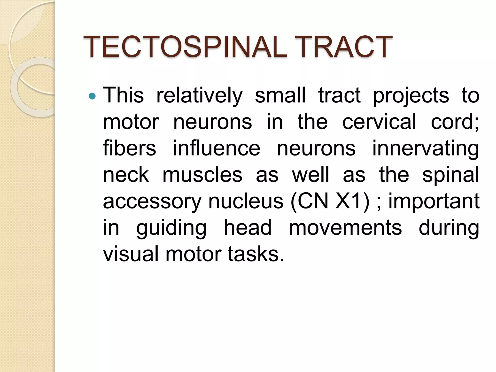 Physiology of movement | PPTX