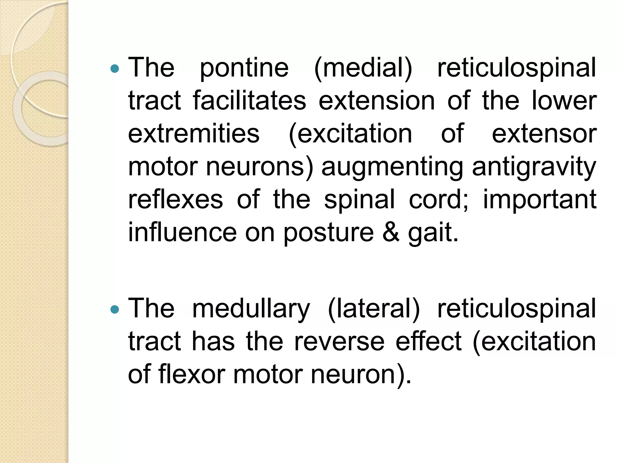 Physiology of movement | PPTX