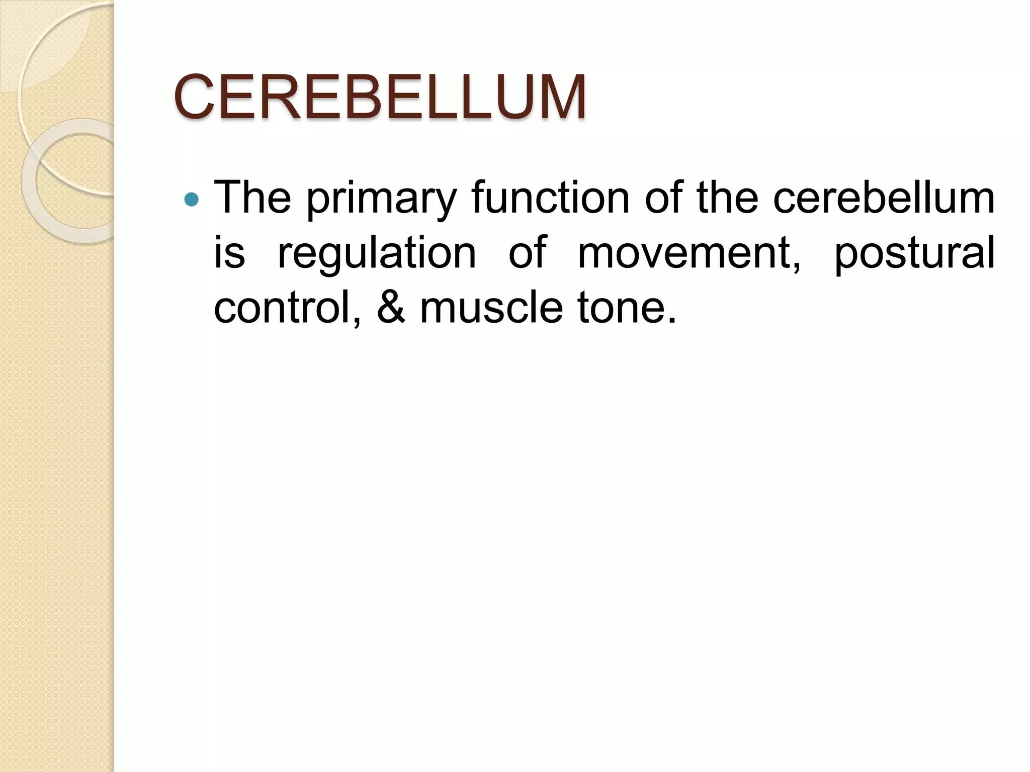 Physiology of movement | PPTX