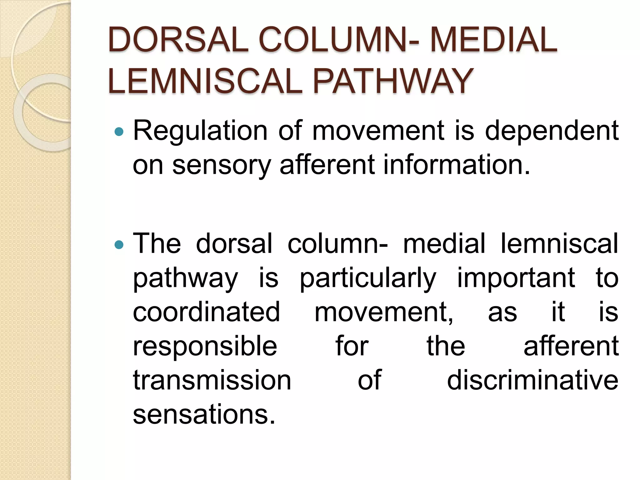 Physiology of movement | PPTX