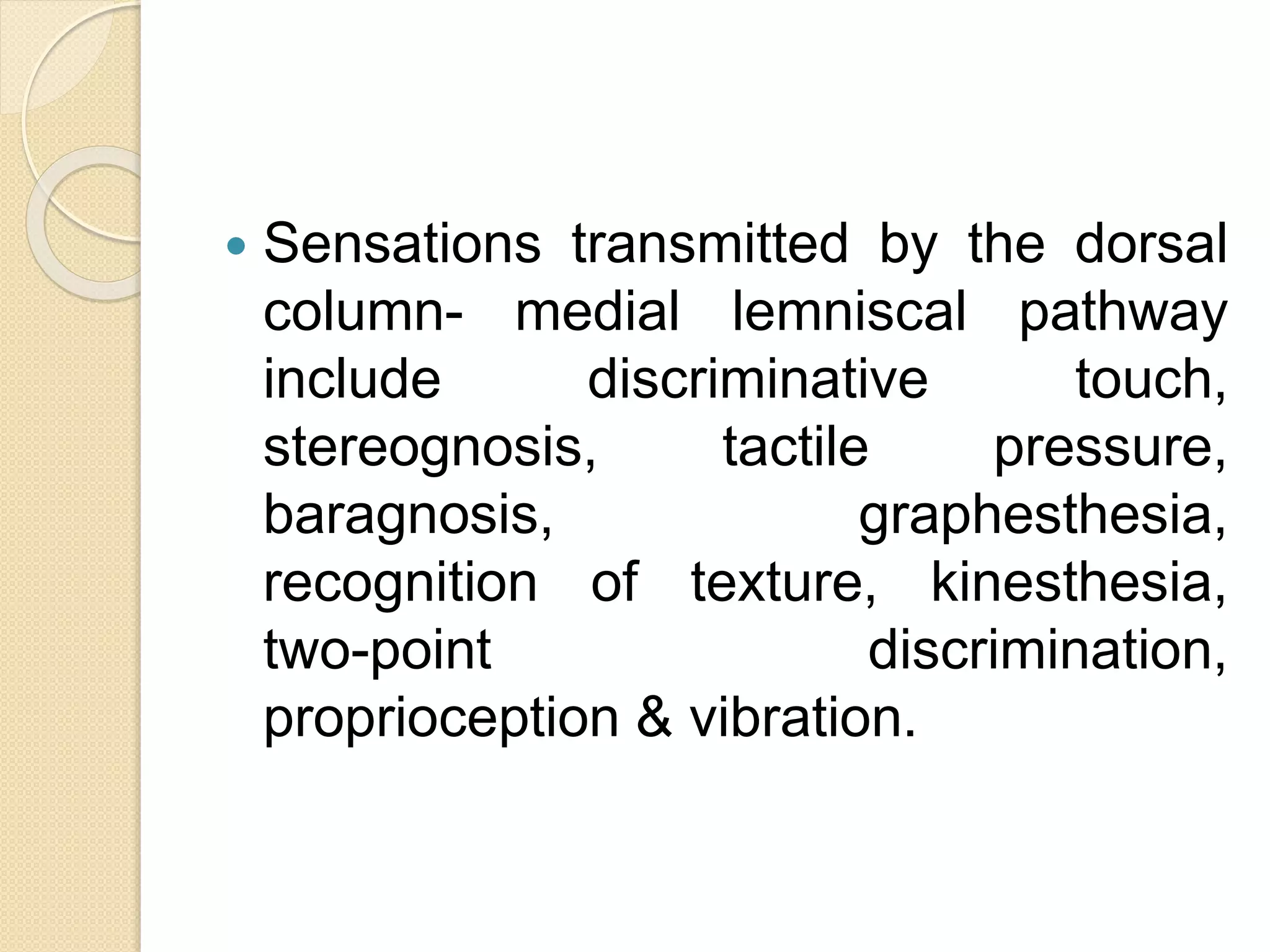Physiology of movement | PPTX