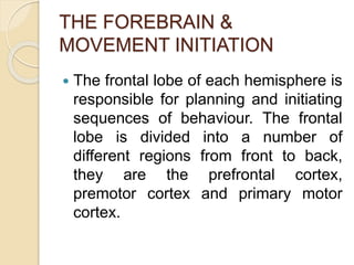 Physiology of movement | PPTX