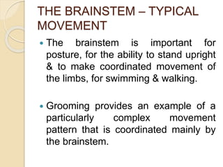 Physiology of movement | PPTX