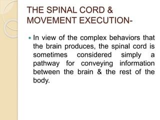 Physiology of movement | PPTX