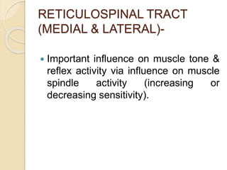 Physiology of movement | PPTX