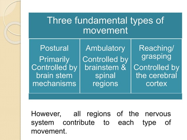 Physiology of movement | PPTX
