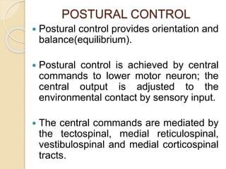 Physiology of movement | PPTX