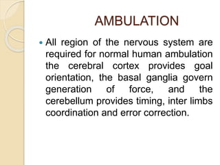 Physiology of movement | PPTX